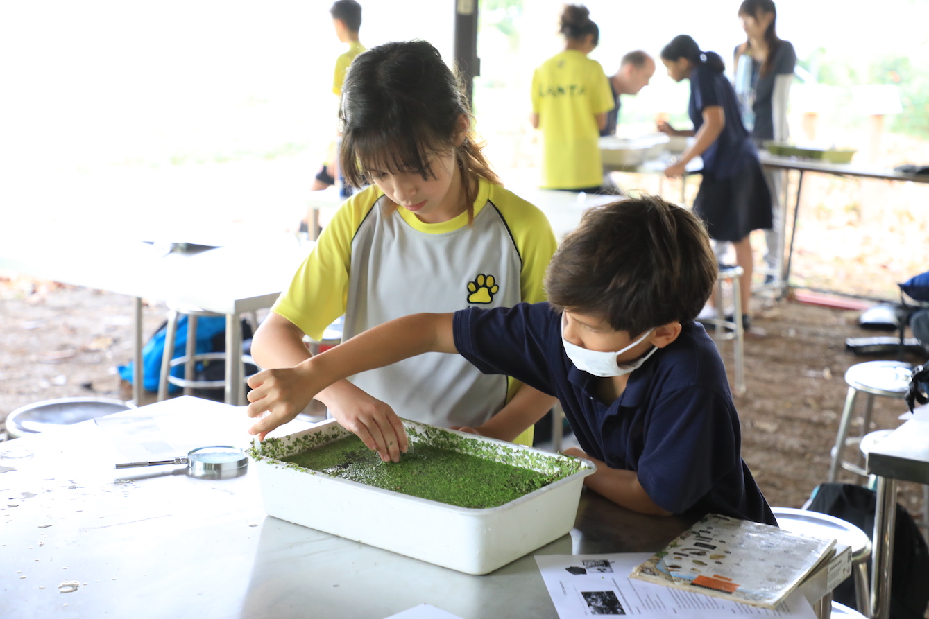 Year 7 Study Biodiversity in the Outdoor Classroom - Bangkok Patana School