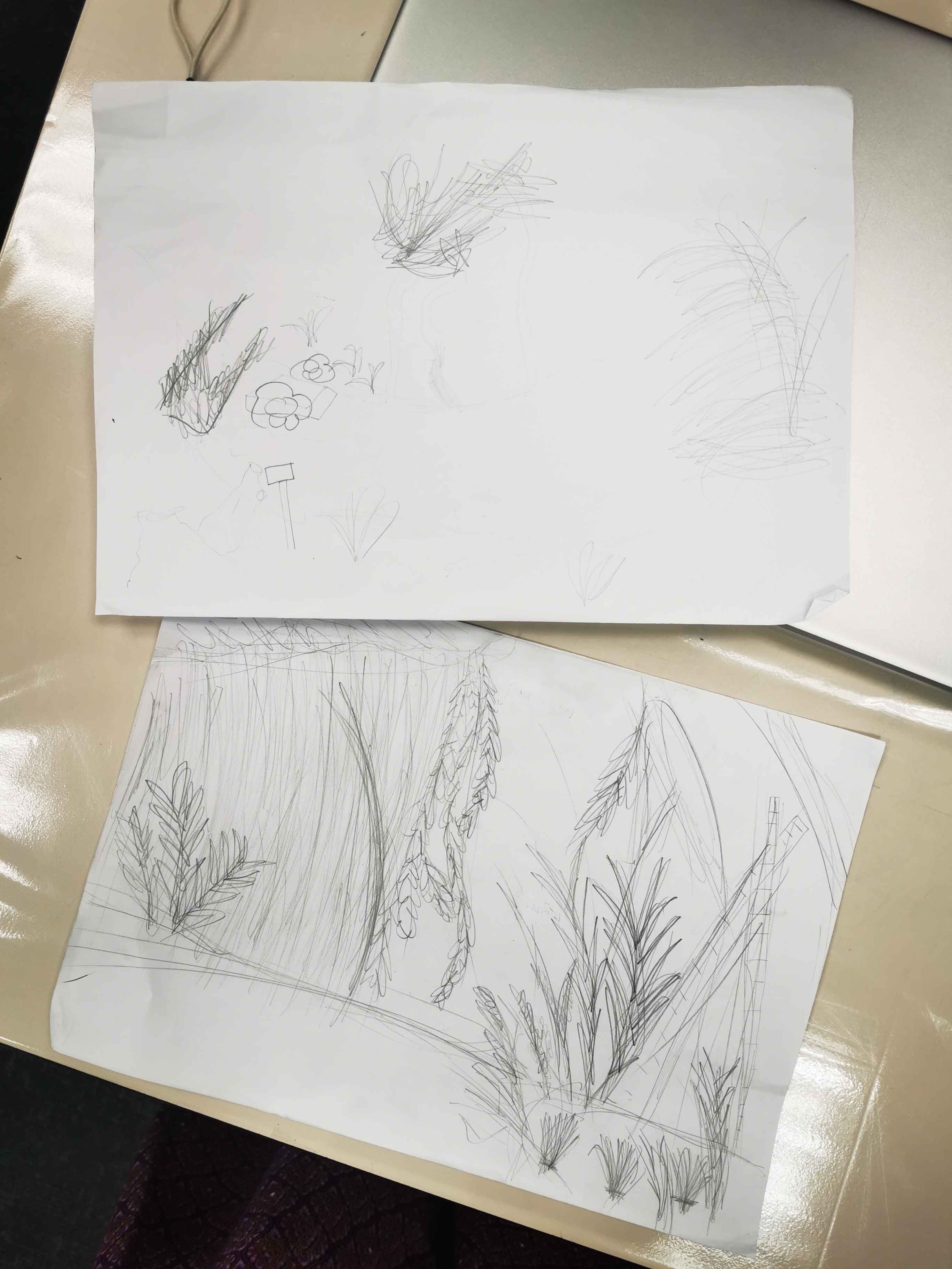 Sketching in the Outdoor Classroom - Bangkok Patana School