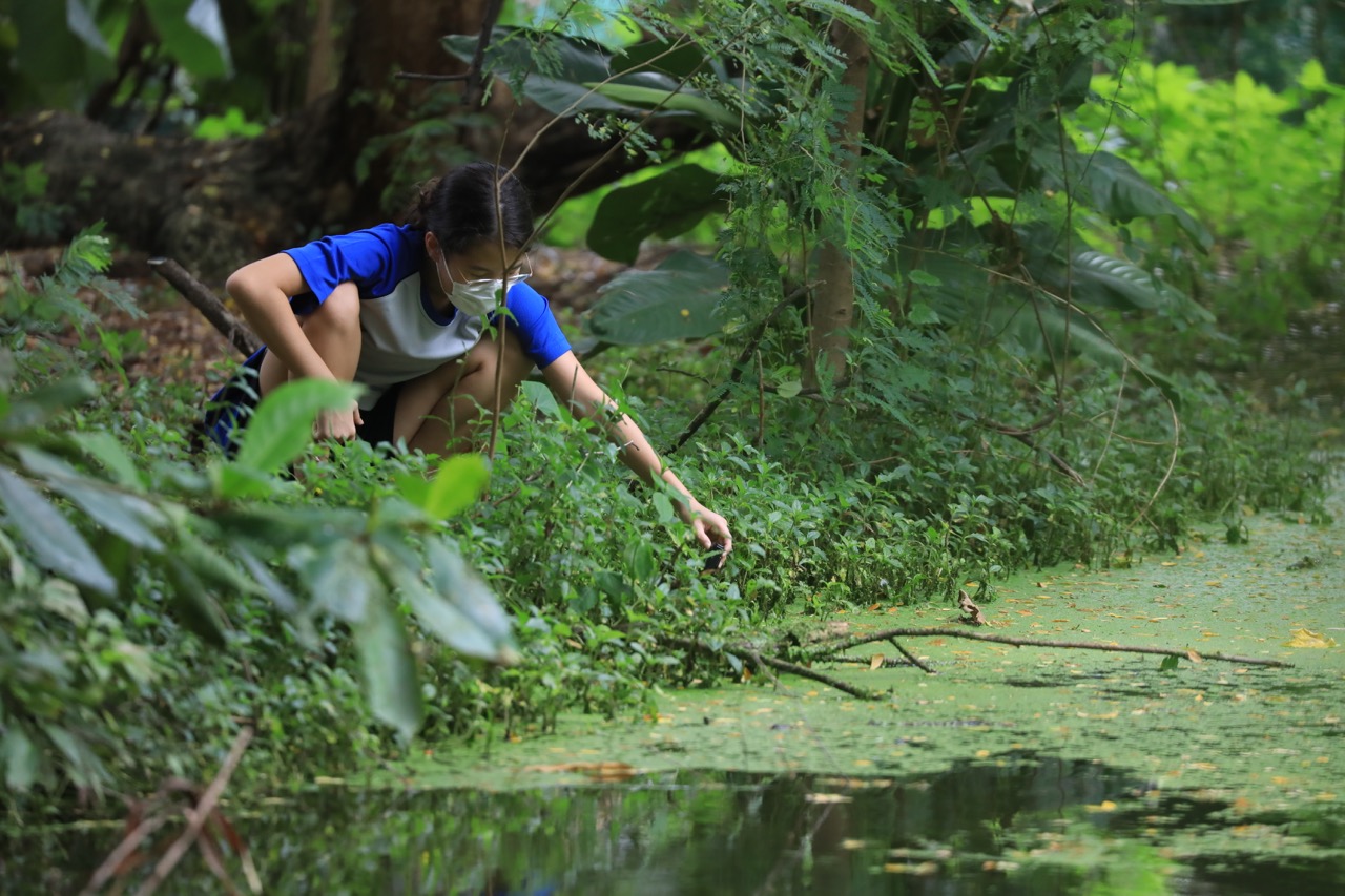 Year 9 Explores the Rainy Ecosystem - Bangkok Patana School