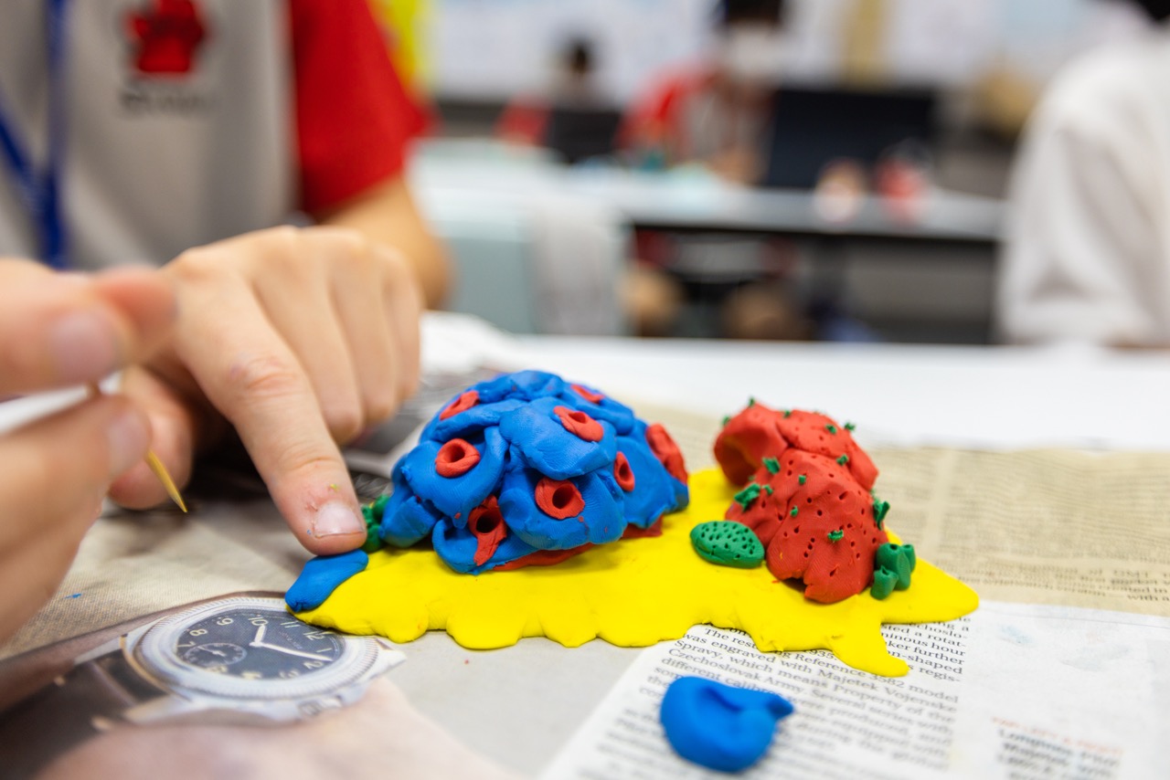 Coral Reef Models in Year 7 - Bangkok Patana School