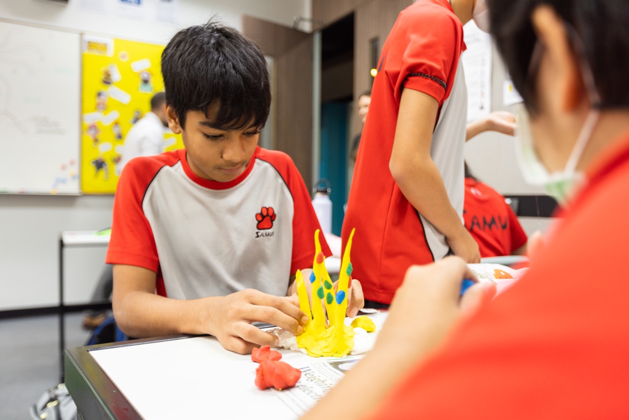 Coral Reef Models in Year 7 - Bangkok Patana School